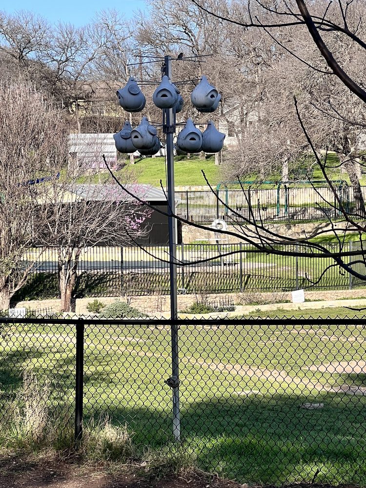 WEST AUSTIN PARK & WADING POOL - Updated October 2025 - 73 Photos & 65 ...