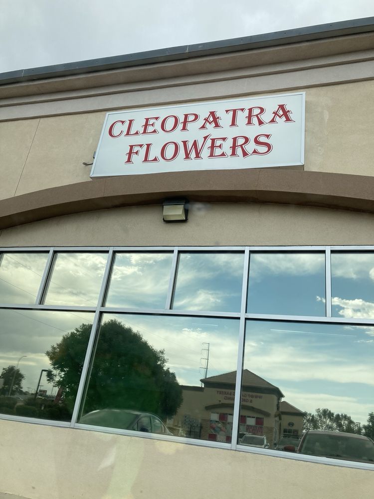 CLEOPATRA FLOWERS - Updated January 2025 - 9784 Coors Blvd NW ...