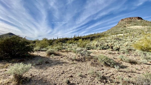 BROWN’S RANCH TRAILHEAD - Updated October 2024 - 307 Photos & 43 ...