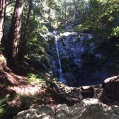PFEIFFER BIG SUR STATE PARK - 1255 Photos & 367 Reviews - 47225 Hwy 1 ...