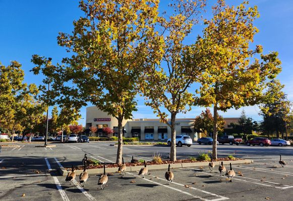 TARGET - Updated September 2025 - 552 Photos & 358 Reviews - 2610 ...