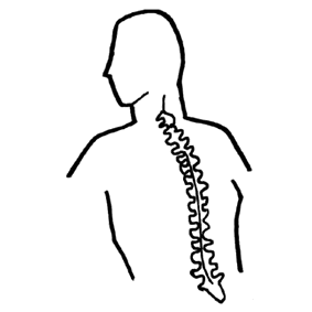 LEFKOWITZ HARRY DC - Updated September 2025 - 153 Ft Lee Rd, Teaneck ...