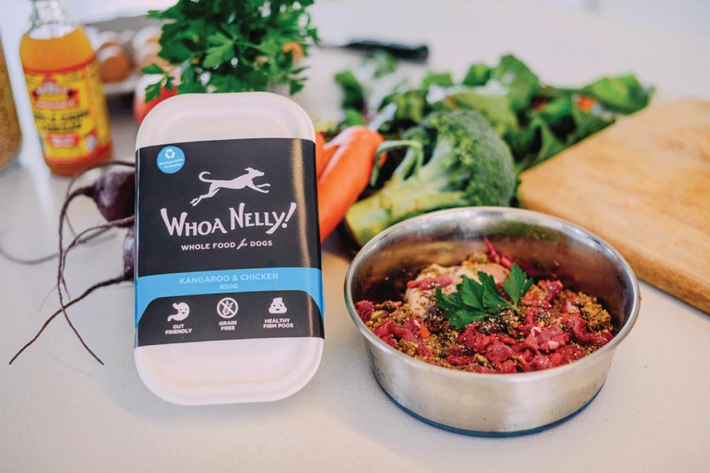 WHOA NELLY - 1 Fish Lane, Brisbane Queensland, Australia - Pet Services ...