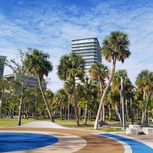 THE BARNACLE HISTORIC STATE PARK - 310 Photos & 56 Reviews - Parks - 3485 Main Hwy, Miami, FL ...