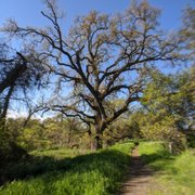 GIBSON RANCH REGIONAL PARK - 178 Photos & 101 Reviews - 8556 Gibson ...