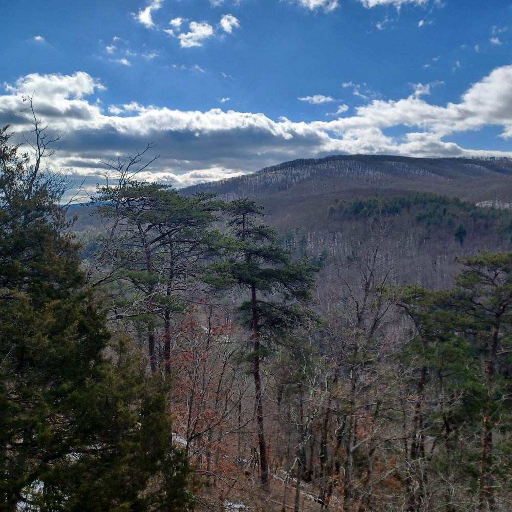 GREEN RIDGE STATE FOREST - Updated October 2024 - 120 Photos & 18 ...