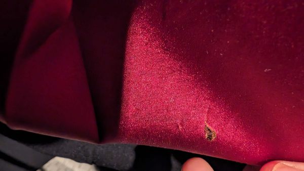 REX CLEANERS - Updated December 2025 - 45 Photos & 183 Reviews - 60 ...