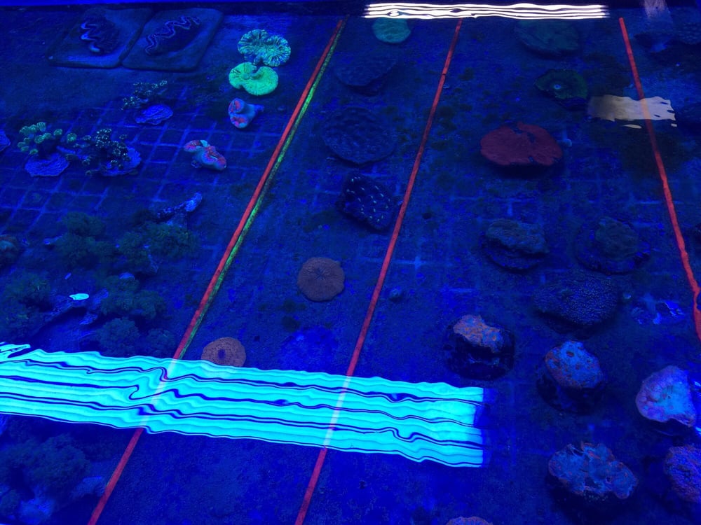 SEGREST FARMS - Updated December 2025 - 10 Photos - 6180 Big Bend Rd ...