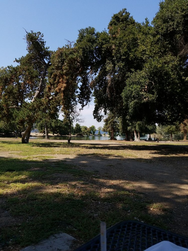 ROEDING PARK - 13 Photos & 15 Reviews - Parks - 890 W Belmont Ave ...
