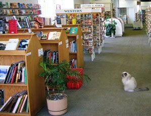 WEE BOOK INN - CLOSED - 8101 118 Ave NW, Edmonton, Alberta - Bookstores ...