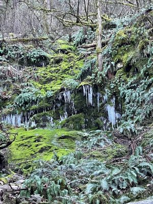 POO POO POINT - CHIRICO TRAIL - Updated July 2025 - 464 Photos & 163 ...
