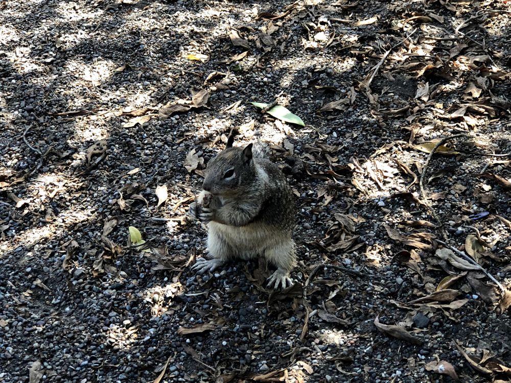 SHAMEL PARK - 114 Photos & 26 Reviews - 5455 Windsor Blvd, Cambria ...