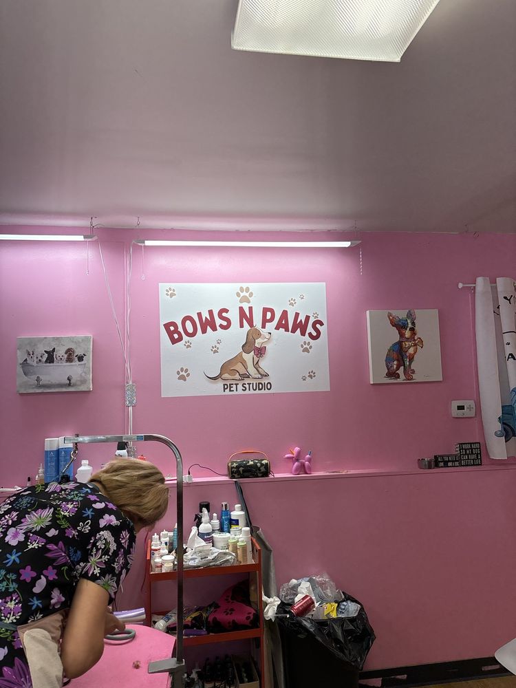 BOWS N PAWS PET STUDIO - Updated May 2026 - 20 Photos - 270 Colfax Ave ...
