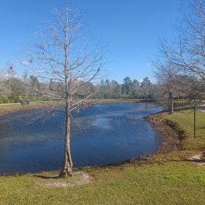 SOUTH ECON COMMUNITY PARK - Updated March 2025 - 41 Photos & 15 Reviews ...