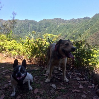 HAU’ULA LOOP TRAIL - Updated December 2024 - 141 Photos & 23 Reviews ...