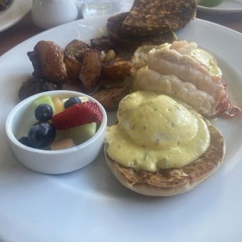 SEA WATCH ON THE OCEAN - Updated January 2025 - 1295 Photos & 907 ...