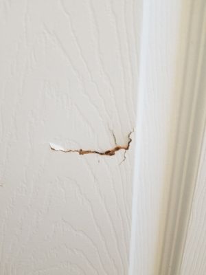 SOLANO PROPERTY MANAGEMENT - Updated December 2025 - 25 Photos & 94 ...