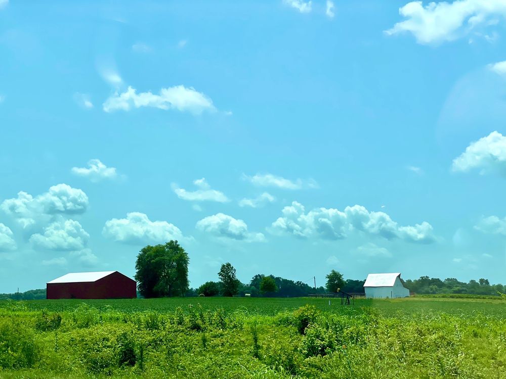 CHUCK WAGON CHARLIE’S - Updated July 2025 - 746 County Road 2550 N ...