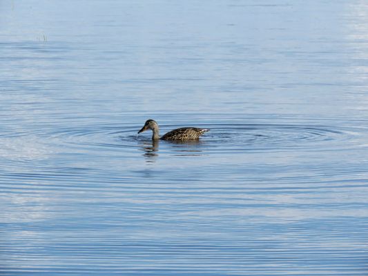 SAM’S POINT AREA - 266 Photos & 37 Reviews - Hiking - 400 Sams Point Rd ...