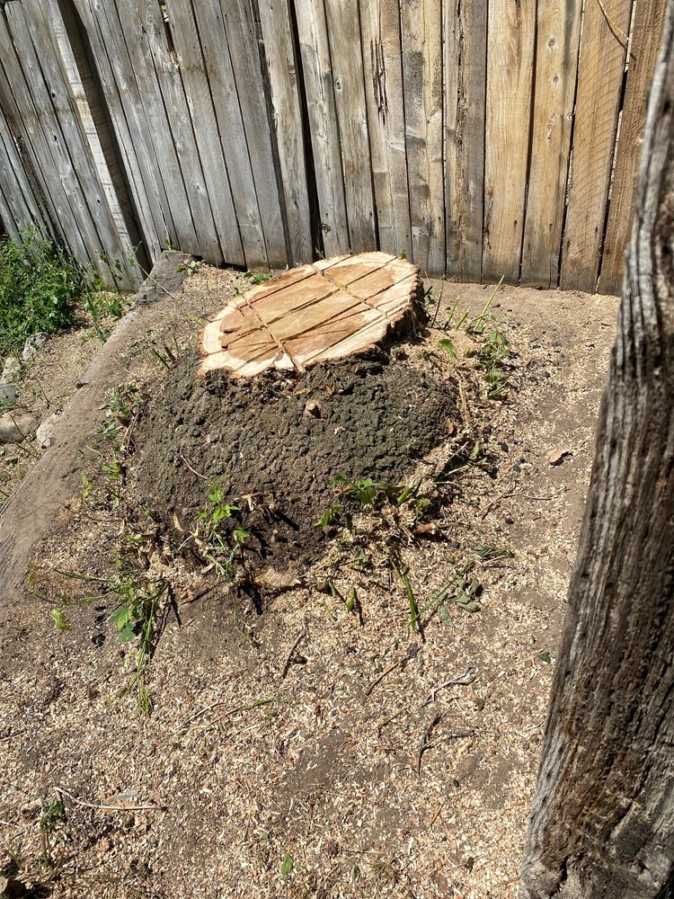 R & J TREE SERVICES - Updated July 2025 - Idaho Falls, Idaho - Tree ...