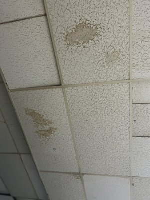 ROLLER LAND - Updated January 2026 - 23 Photos & 53 Reviews - 1445 W ...