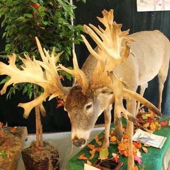 DOUBLE DIAMOND DEER RANCH - Updated October 2025 - 25 Photos & 11 ...