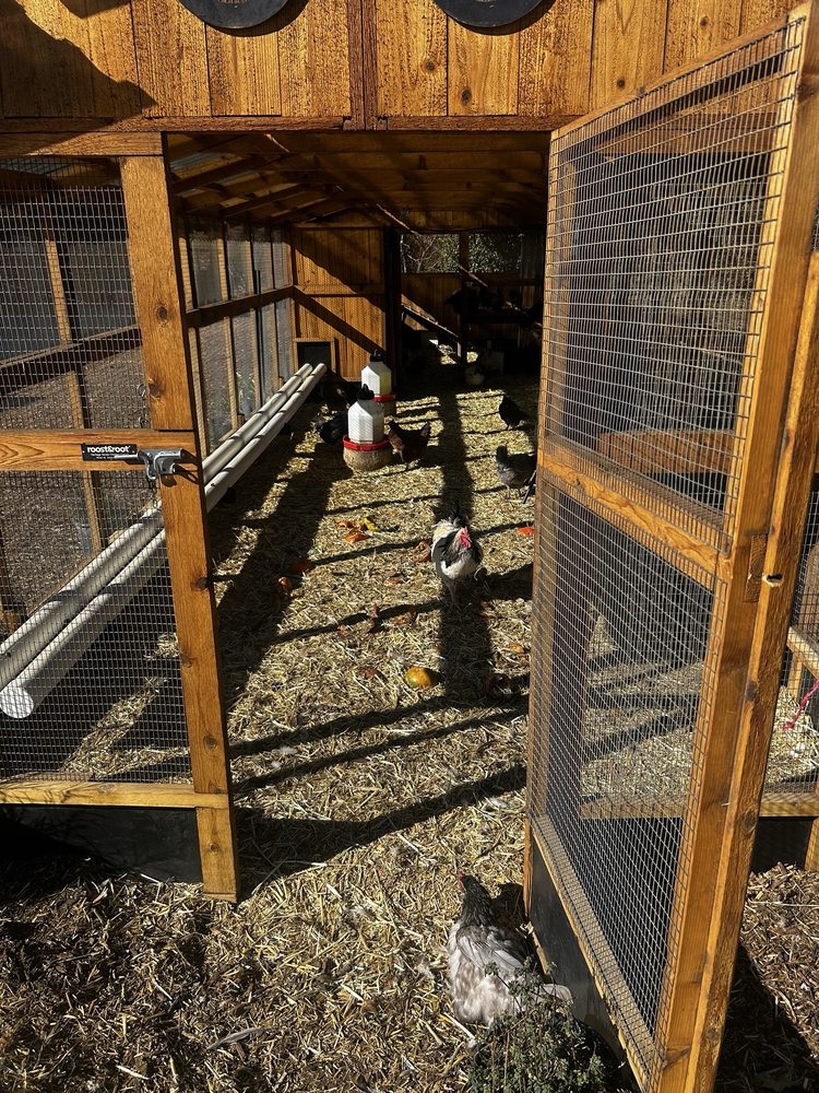 BLOOM RANCH OF ACTON - Updated February 2025 - 84 Photos & 37 Reviews ...