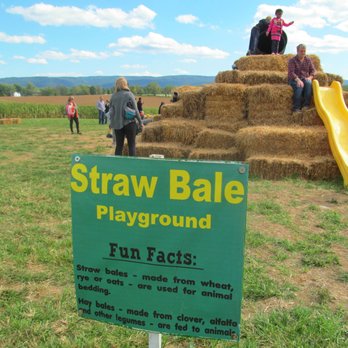 WAYSIDE FARM FUN - Updated January 2026 - 61 Photos & 21 Reviews - 5273 ...