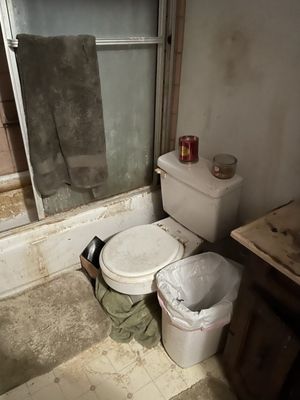 BUSY BEE CONSTRUCTION SOLUTIONS - Updated August 2024 - 177 Photos & 57 ...