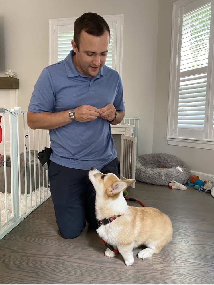 PAMPERED PUPPIES - Updated August 2025 - 73 Photos & 30 Reviews - 159 ...