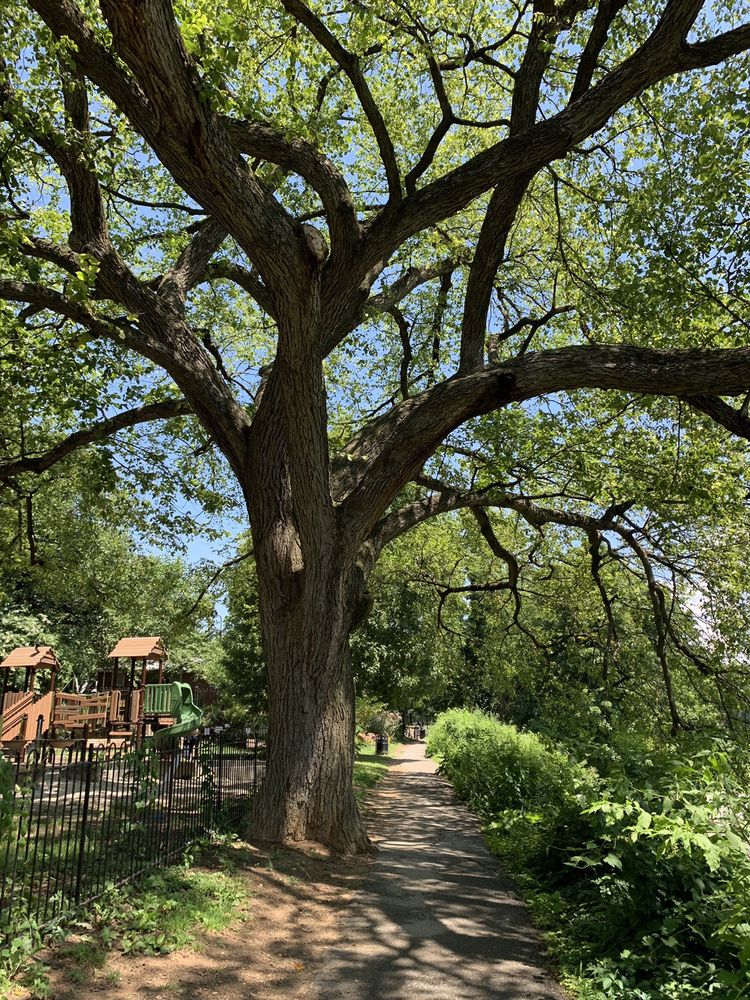 ROSE PARK RECREATION CENTER - Updated September 2025 - 10 Photos - 2609 ...