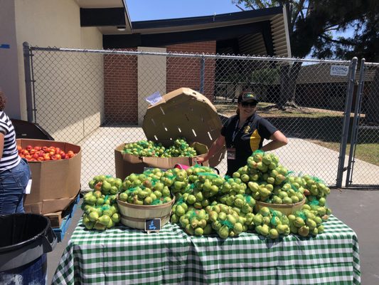 BALL JUNIOR HIGH SCHOOL - 123 Photos - 1500 W Ball Rd, Anaheim ...