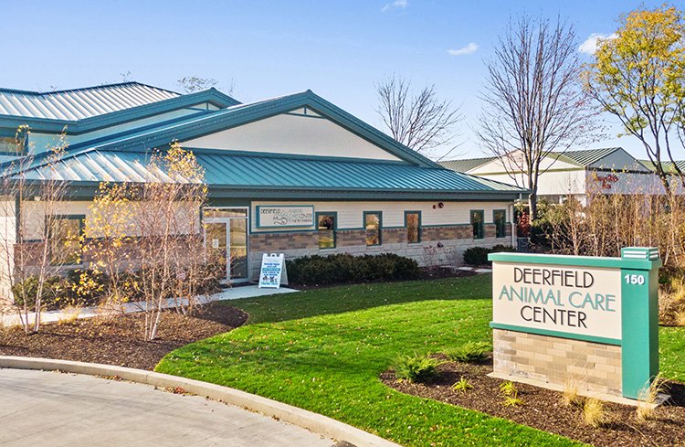 DEERFIELD ANIMAL CARE CENTER - Updated December 2025 - 19 Photos & 33 ...