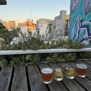 DARLING AVIARY - Updated November 2024 - 767 Photos & 628 Reviews - 712 ...