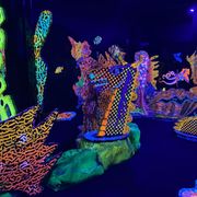 PUTTING EDGE - 68 Photos & 48 Reviews - 44225 Twelve Mile Rd, Novi, MI - Yelp