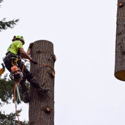 EASTSIDE TREE WORKS - 69 Photos & 92 Reviews - 32517 NE 77th St, Carnation, Washington - Tree ...