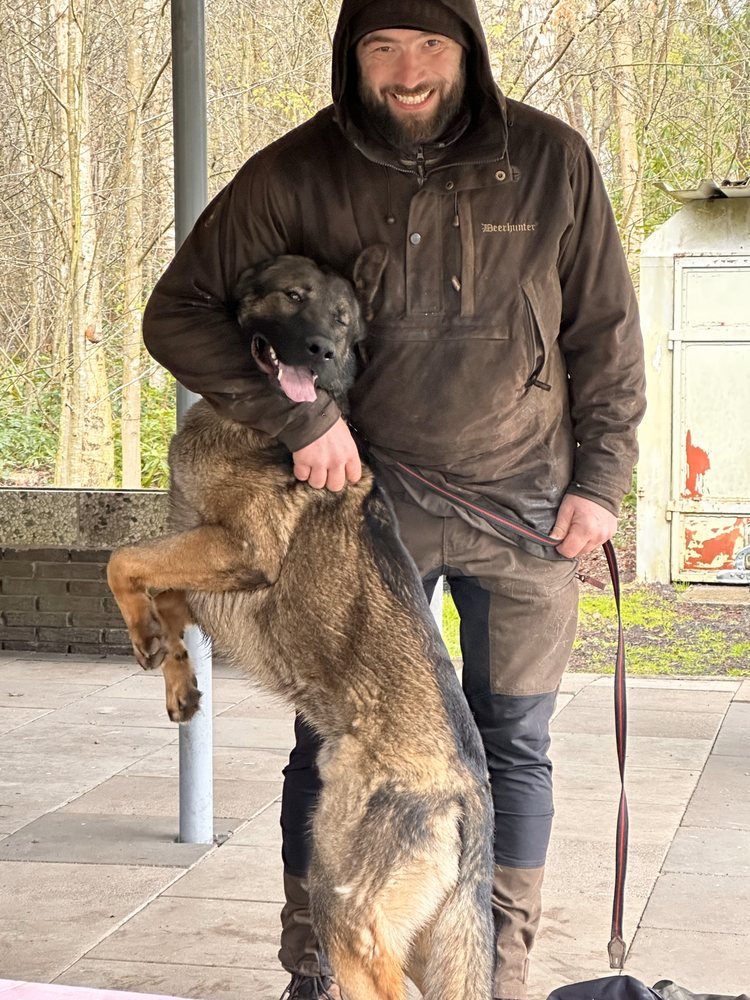 CALIFORNIA ELITE FAMILY PROTECTION DOGS - Updated December 2024 ...