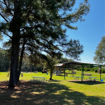 ELGIN CHRISTMAS TREE FARM - Updated December 2025 - 96 Photos & 60 ...