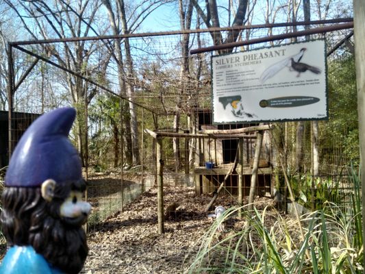 ZOOSIANA ZOO OF ACADIANA - Updated October 2025 - 78 Photos & 41 ...