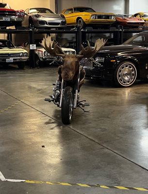 THE SHOP - Updated January 2026 - 75 Photos & 30 Reviews - 2233 6th Ave ...