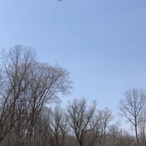 ISLAND LAKE SHOOTING RANGE - Updated April 2025 - 15 Reviews - 13600 ...