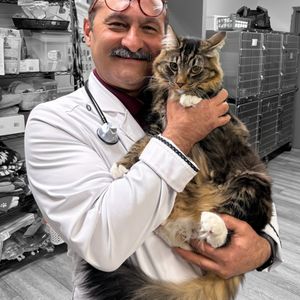 CENTENNIAL ANIMAL HOSPITAL - Updated June 2025 - 72 Photos & 293 ...