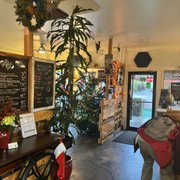 O CAFE - 259 Photos & 168 Reviews - 10131 Fair Oaks Blvd, Fair Oaks, CA ...