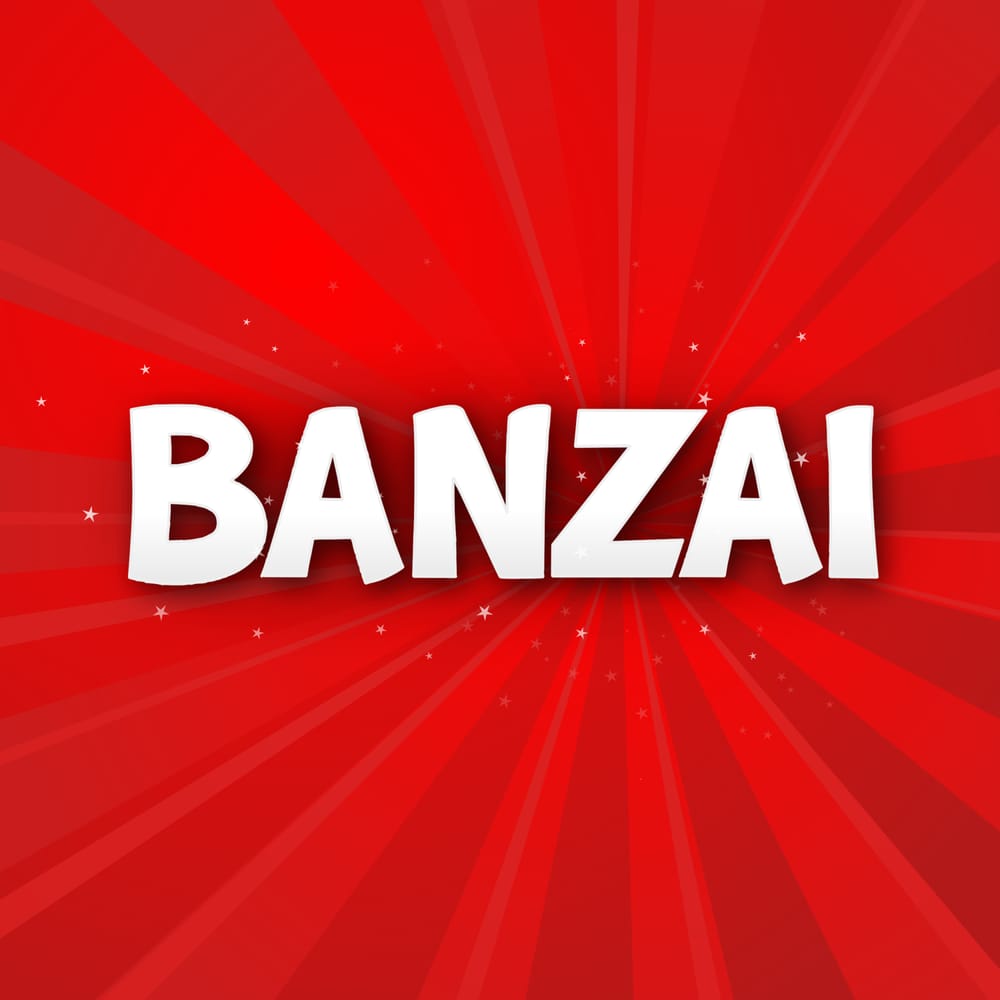 BANZAI - Updated July 2024 - 10 Rue Louis Pasteur, Brest, France - Toy ...