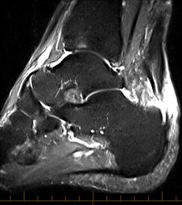 WILSON IMAGING - Updated October 2025 - 14 Photos & 10 Reviews - 222 ...