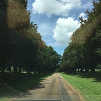 SAM DAVIS HOME - Updated August 2024 - 26 Photos & 10 Reviews - 1399 ...