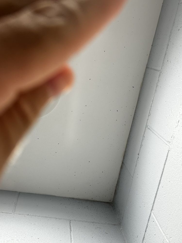 GLEASON FAMILY YMCA - Updated January 2026 - 26 Photos & 20 Reviews ...