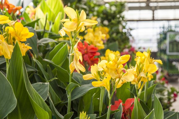 TRAX FARMS - Updated June 2024 - 360 Photos & 90 Reviews - 528 Trax Rd ...