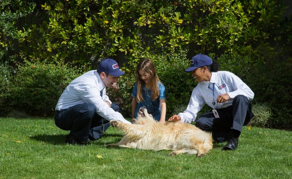 CLARK PEST CONTROL - Updated May 2026 - 39 Photos & 111 Reviews - 1265 ...