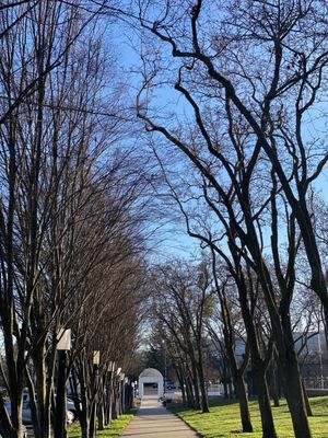 SAN RAMON CENTRAL PARK - Updated March 2025 - 252 Photos & 109 Reviews ...